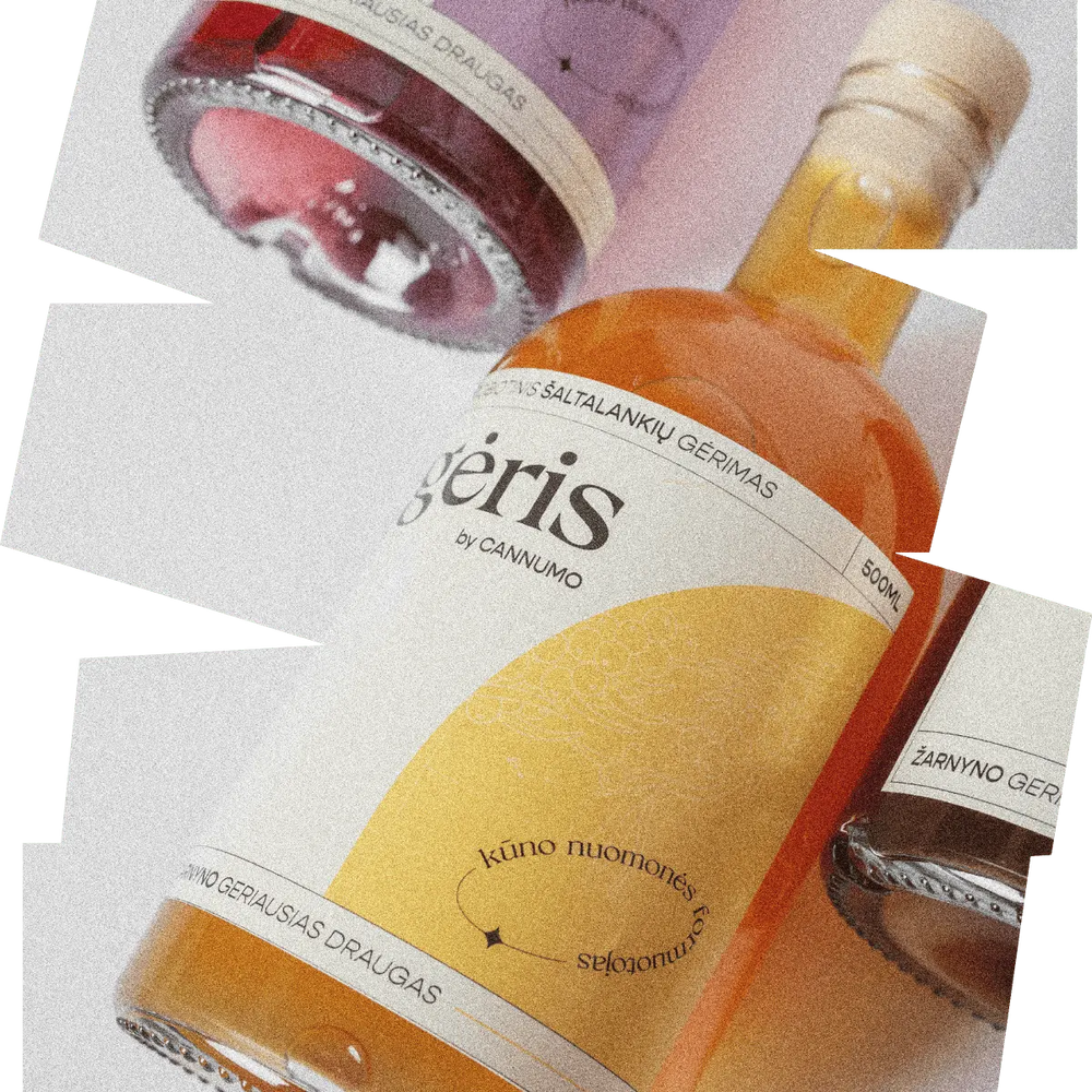 GĖRIS - fermentuotas juodųjų serbentų gėrimas – Cannumo